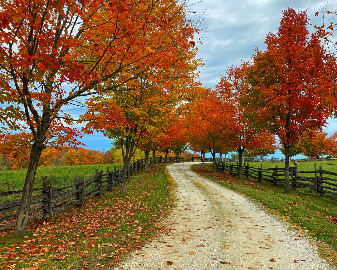 Gratitude is Happiness Doubled By Wonder | Vagabond Photography