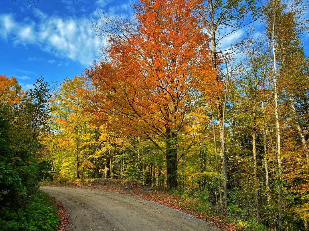 Gratitude is Happiness Doubled By Wonder | Vagabond Photography